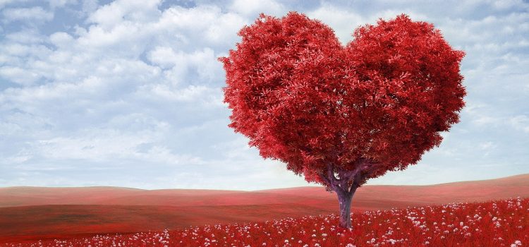 Vrijdag 28 februari 2025: Love LETS | LETS Aalter